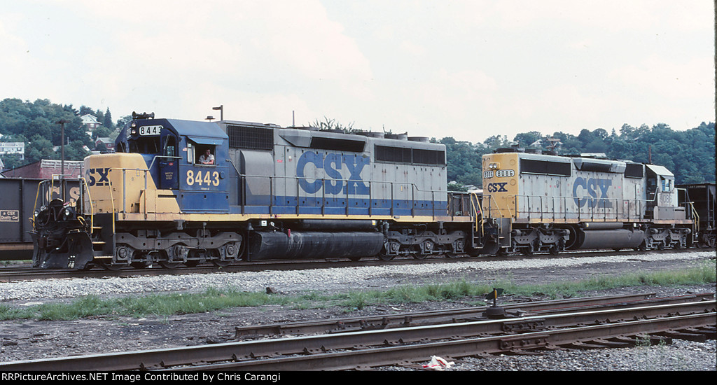 CSXT 8443 & 8086